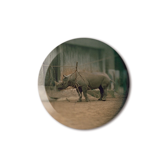 To Cage: Rhino - Stereohype